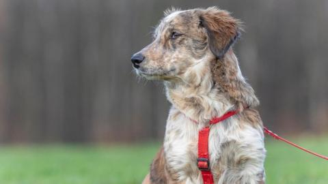 Falva such ein Zuhause – RADIO SCHLAGERPARADIES